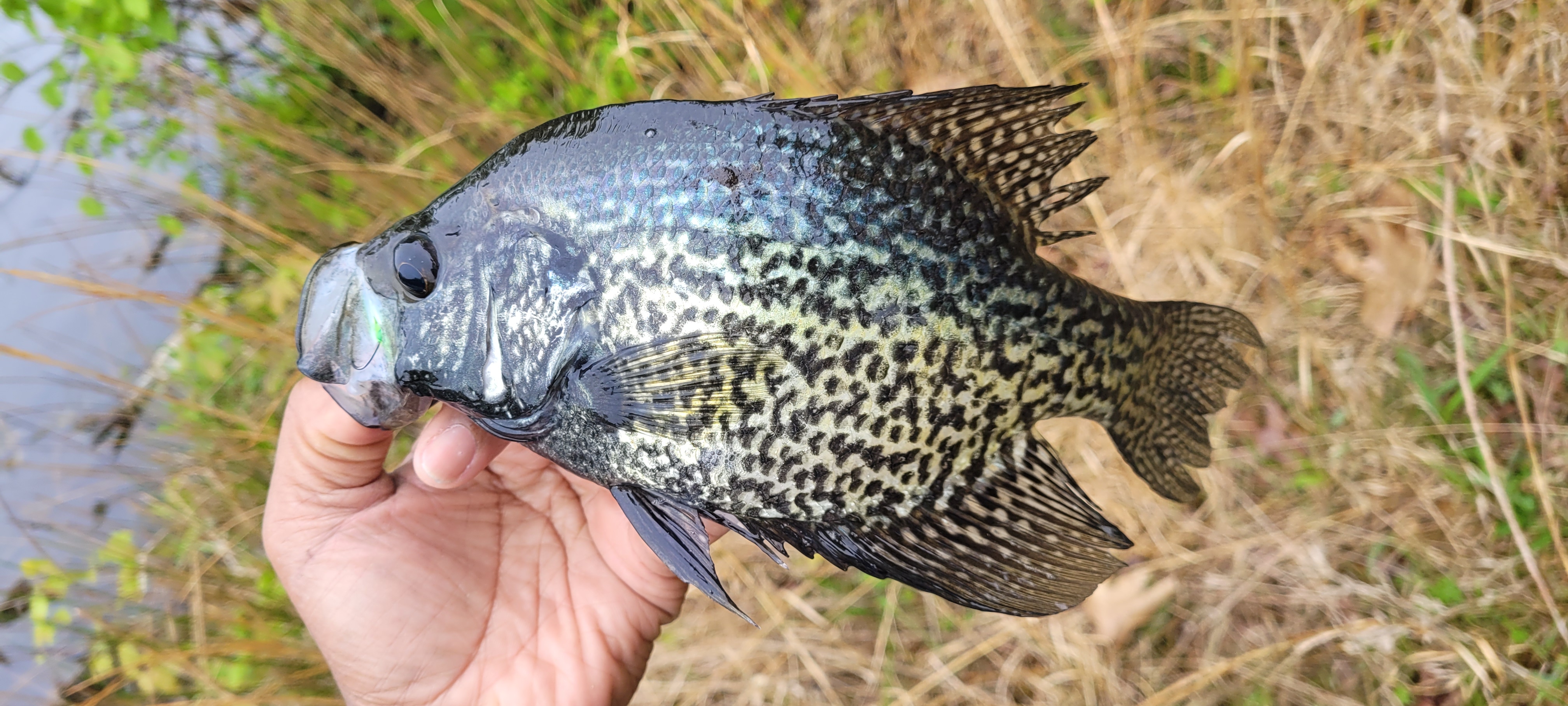 Fishing - Joint Base McGuire-Dix-Lakehurst - iSportsman